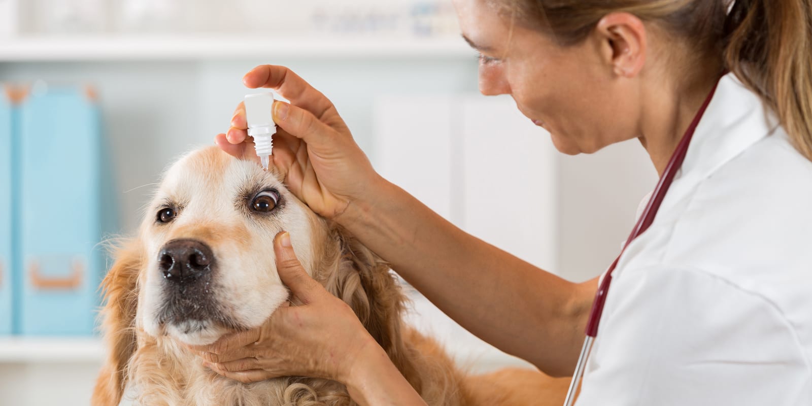 Prescription Refill - Armour Veterinary Ophthalmology